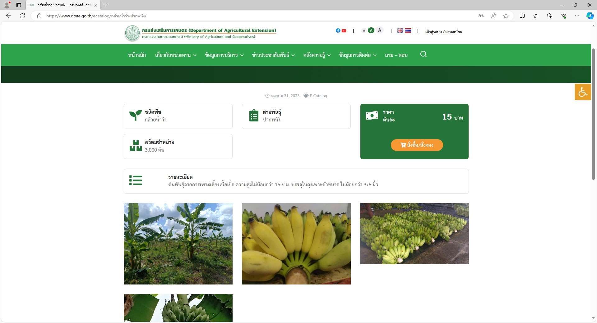 เปิดแล้วรู้ยัง!!!…แหล่งจำหน่ายพืชพันธุ์ดี ต้องที่ศูนย์ขยายพันธุ์พืช กรม ...